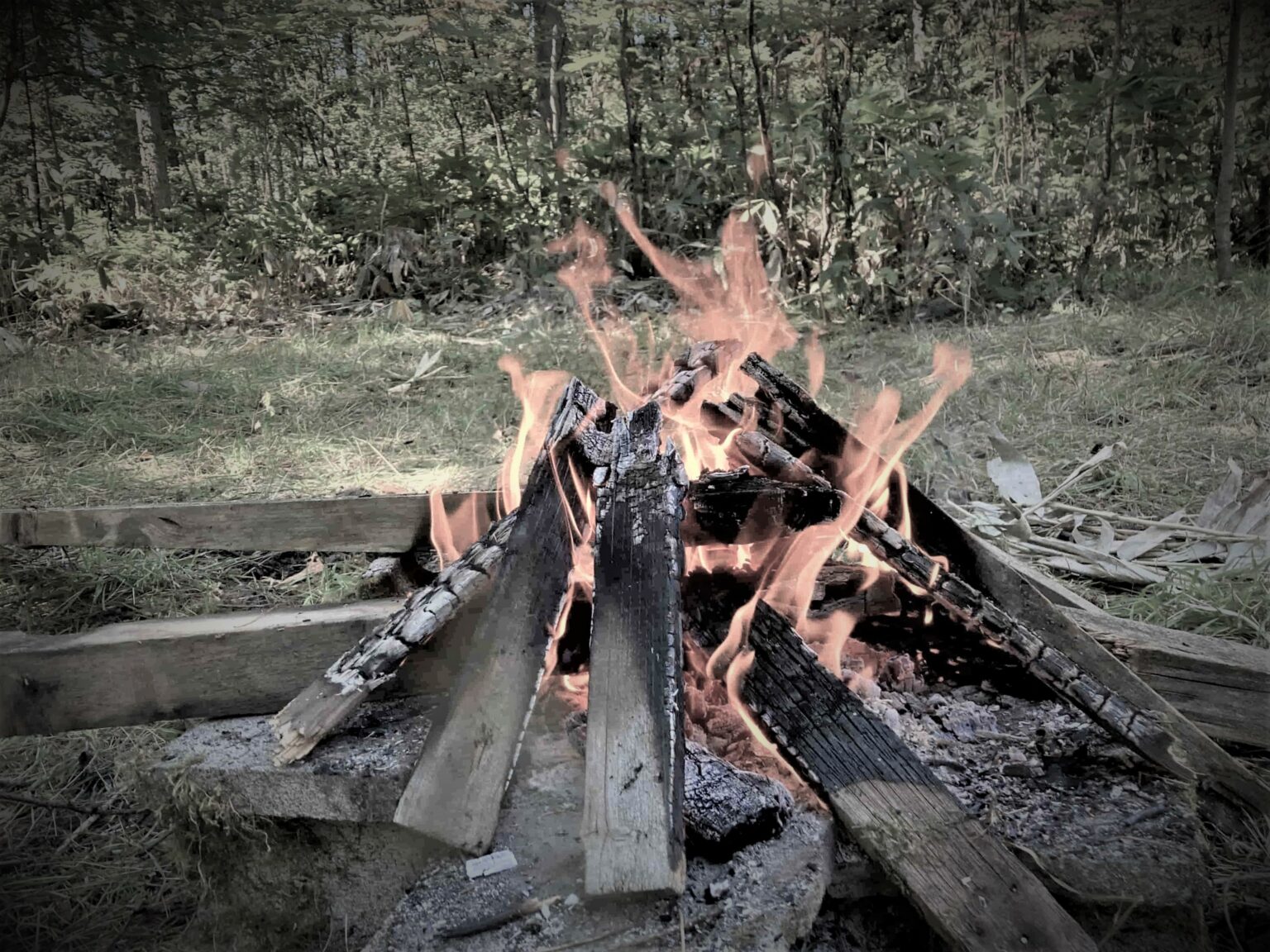 What is the best kindling for a bonfire in Hokkaido?